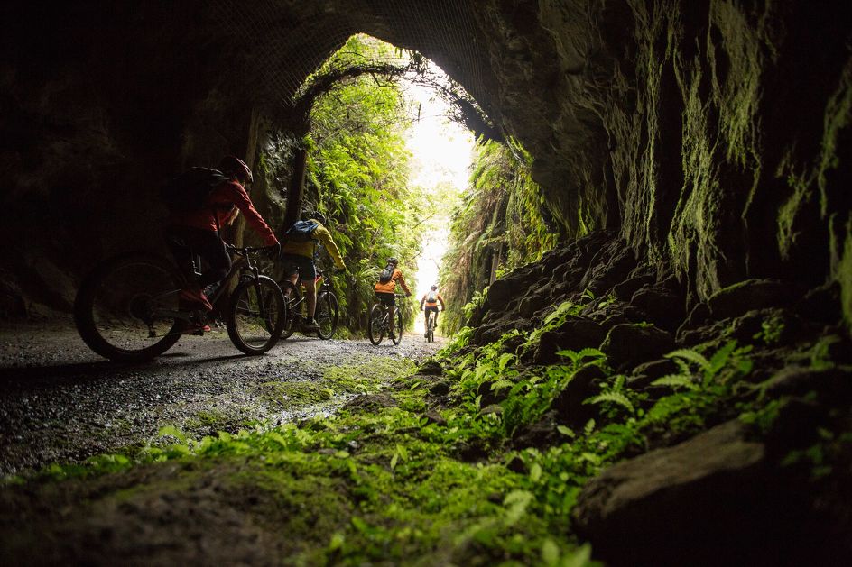 Southern Explorer Timber Trail Biking Package | Timber Trail