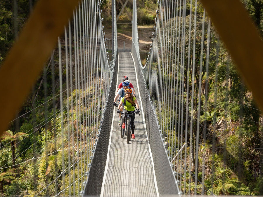 The Timber Trail | Timber Trail