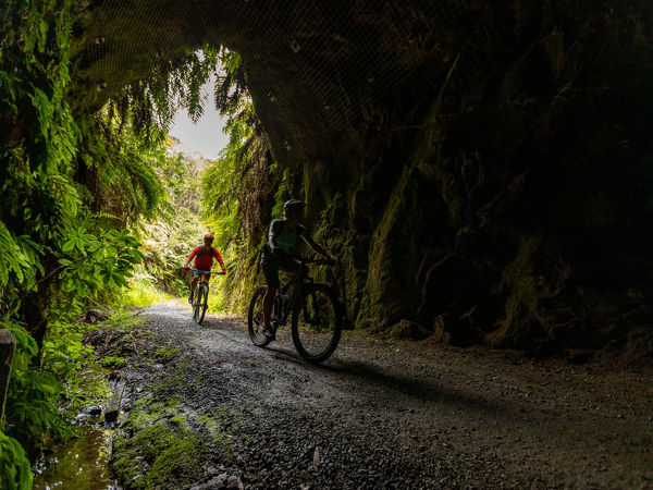 The Timber Trail | Timber Trail