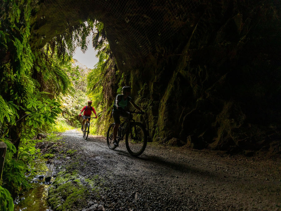 The Timber Trail | Timber Trail