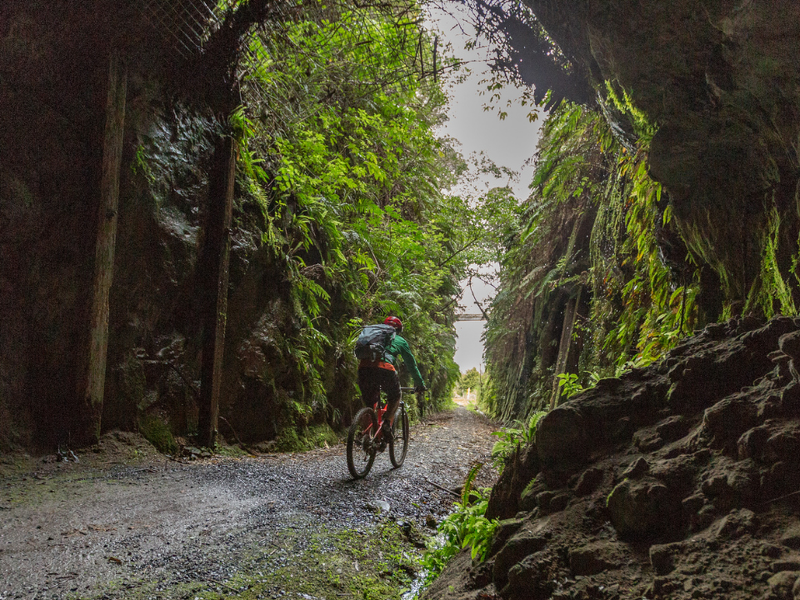 One Night Timber Trail Biking Package | Timber Trail