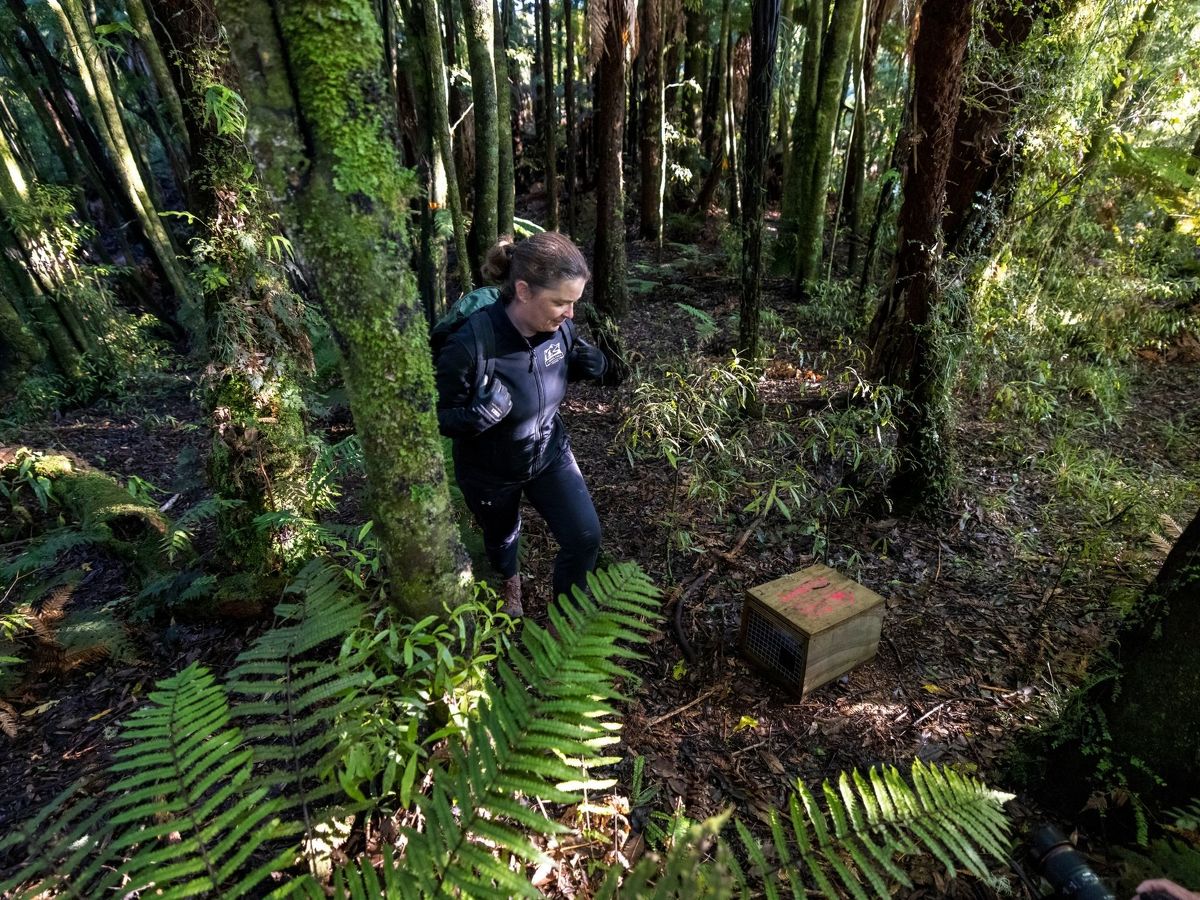 Sustainable Accommodation By Design | Timber Trail