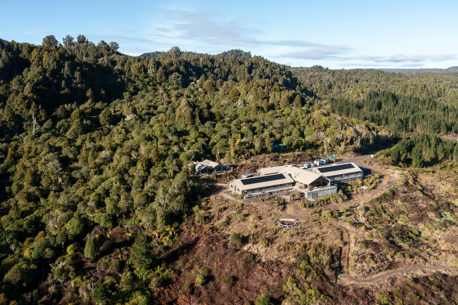 Timber Trail Lodge | Pureora Forest Retreat | Timber Trail